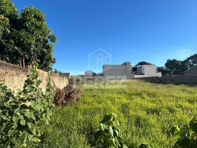 Terreno no Rita Vieira