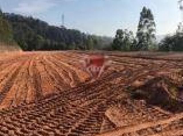 Terreno no Rodovia Máximo Zambotto