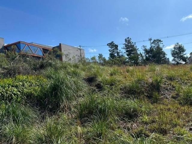 Terreno no São Luiz Terreno