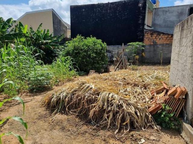 Terreno no Santa Paula Jacareí