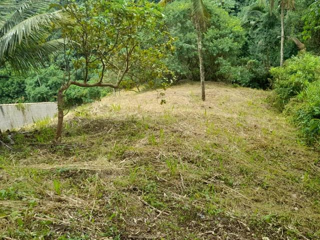Terreno no Siriúba1 Ilhabela