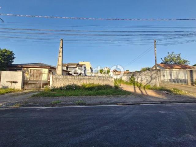 Terreno no Vila Nova, em Araucária