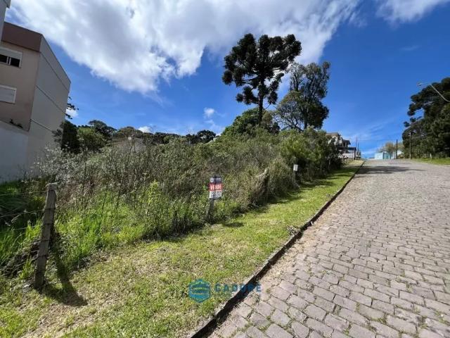 Terreno No Villa Alpina com 360m² Caxias do Sul