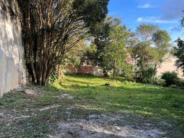 Terreno no Vista Alegre – 576 m² 16x36 ZR2
