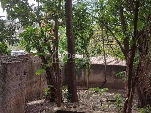 Terreno Nova Campinas