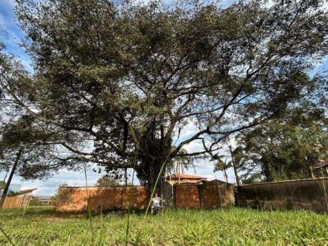 Terreno, Nova Analandia, Analândia, SP