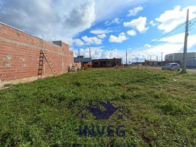 Terreno Nova Mutum