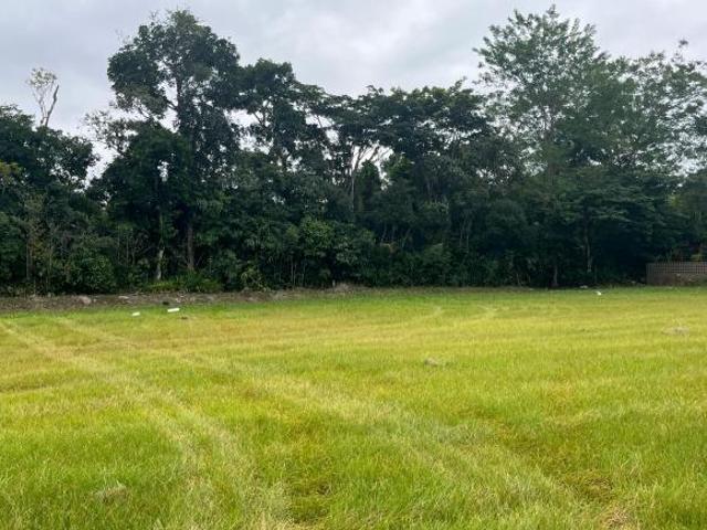 TERRENO ÓTIMA LOCALIZAÇÃO