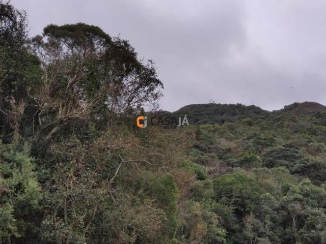 Terreno, Ouro Verde, Campo Largo, PR