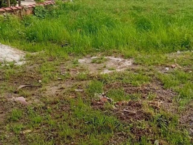 Terreno aterrado 504 m2 com rua pavimentada bloket, iluminada