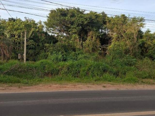 Terreno Av Edgar Pires de Castro medindo 7982,61m²