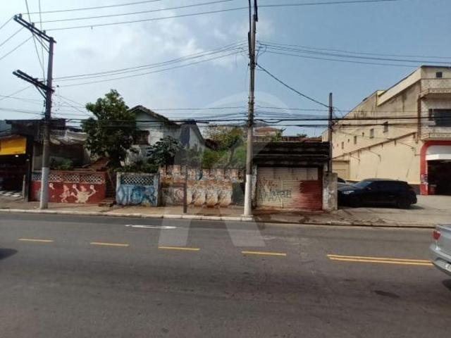 Terreno Avenida Conceição