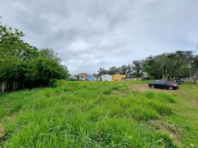 Terreno Avenida Orleans 3.276m² Bairro Guarujá
