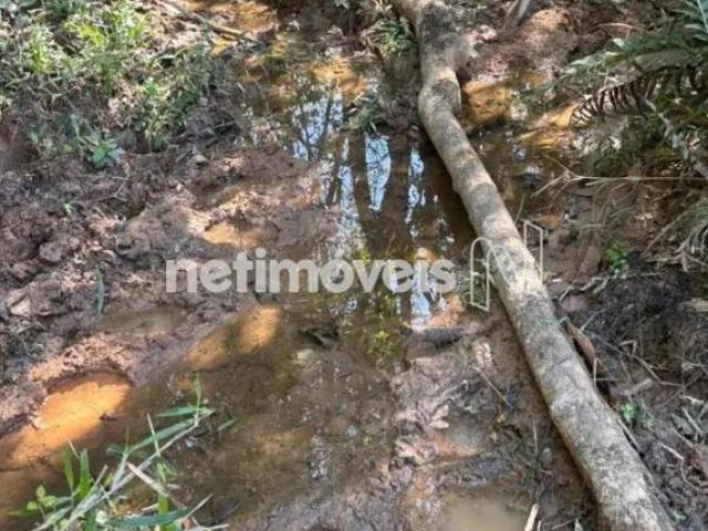 Terreno á 133 km de Belo Horizonte, sendo 03 km de estrada de terra, com 10ha 69 87