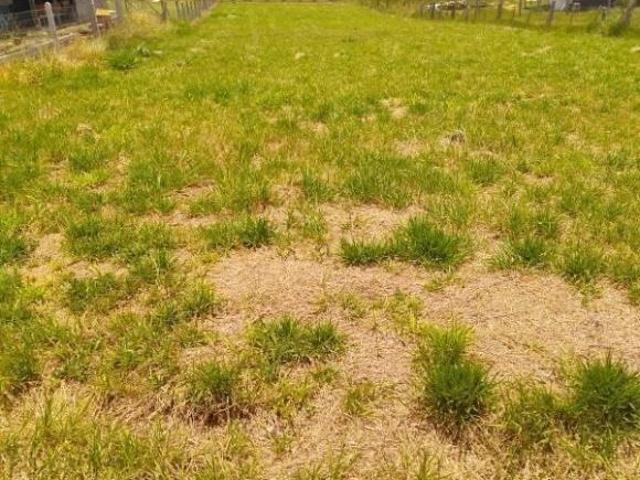 Terreno a 200m da RS 040!