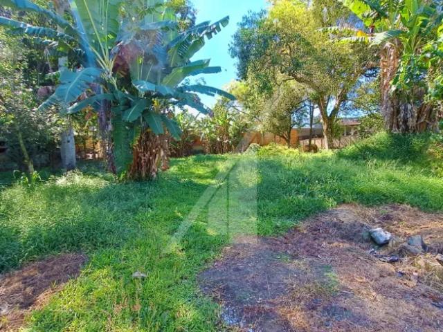 TERRENO – VELHA, Localizado nas imediações da rua dos Caçadores, com uma área de 2.197m², com topogr
