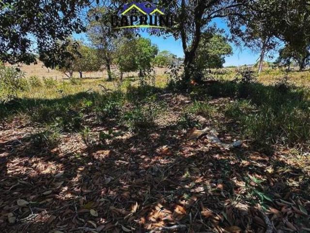 Terreno à venda 3.600m² Japão Grande Carmópolis de Minas MG