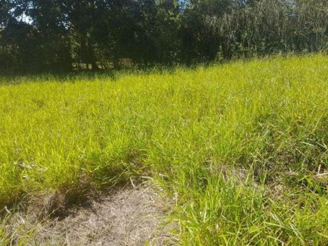 Terreno à venda, 1040 m² por R$ 130.000,00 Sorocamirim Ibiúna/SP