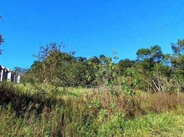 Terreno à venda, 10557 m² por R$ 8.500.000,00 Parque São Vicente Mauá/SP