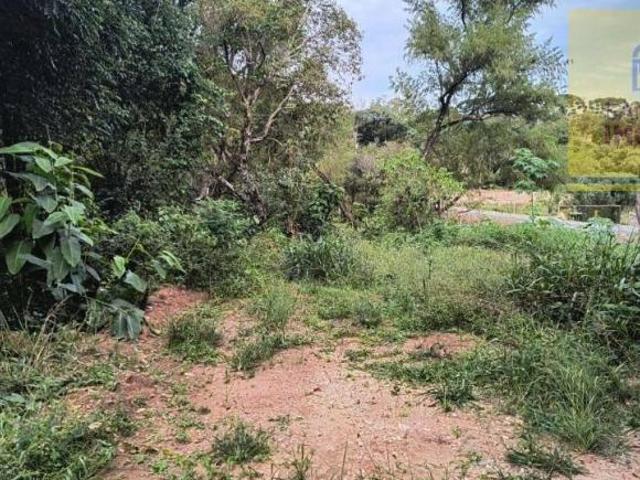 Terreno à venda, 1071 m² por R$ 99.000 São Caetano Balsa Nova/PR