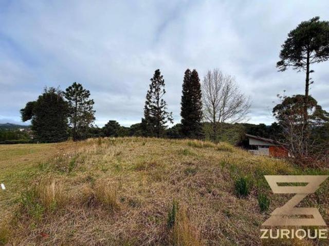 Terreno à venda, 1087 m² por R$ 1.300.000,00 Colinas Capivari Campos do Jordão/SP