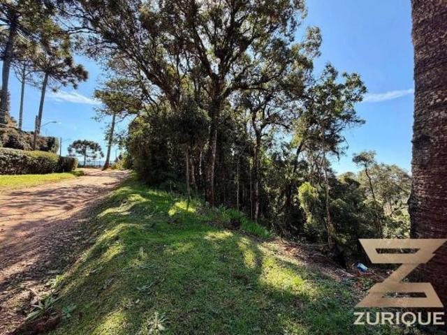 Terreno à venda, 1089 m² por R$ 280.000 Parque Pedra do Baú Campos do Jordão/SP