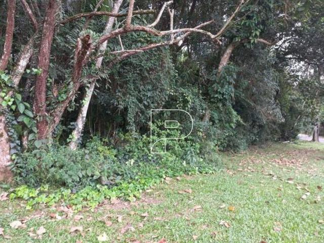 Terreno à venda, 1093 m² possuindo supressão da vegetacao aprovada pela CETESB por R$ 470.000 Fore
