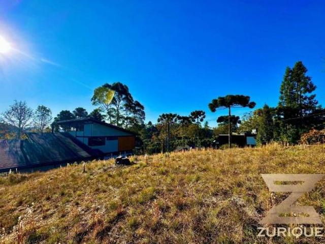 Terreno à venda, 1003 m² por R$ 1.500.000,00 Colinas Capivari Campos do Jordão/SP
