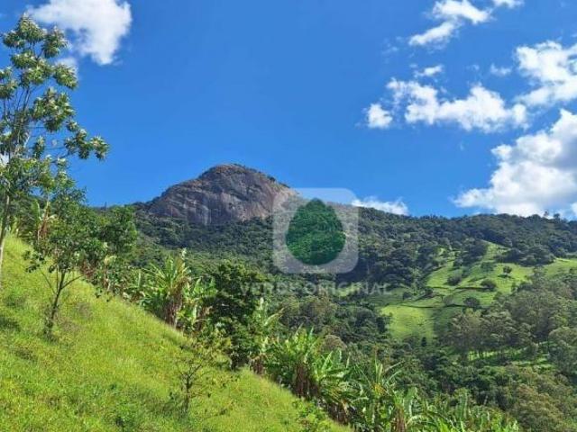 Terreno à venda, 10000 m² por R$ 550.000,00 Paiol Grande São Bento do Sapucaí/SP