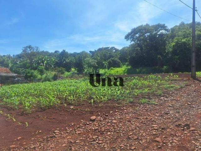 Terreno à venda, 1000 m² por R$ 150.000 Zona Rural Londrina/PR