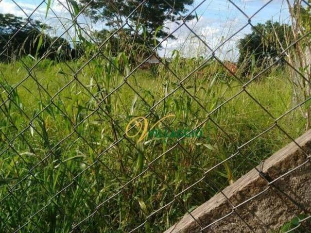 Terreno à venda, 1000 m² por R$ 110.000 Estância Parque Azul Zona Rural São José do Rio Preto/