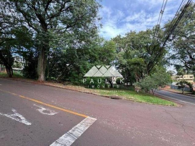 Terreno à venda, 1000 m² por R$ 1.100.000,00 Centro Foz do Iguaçu/PR