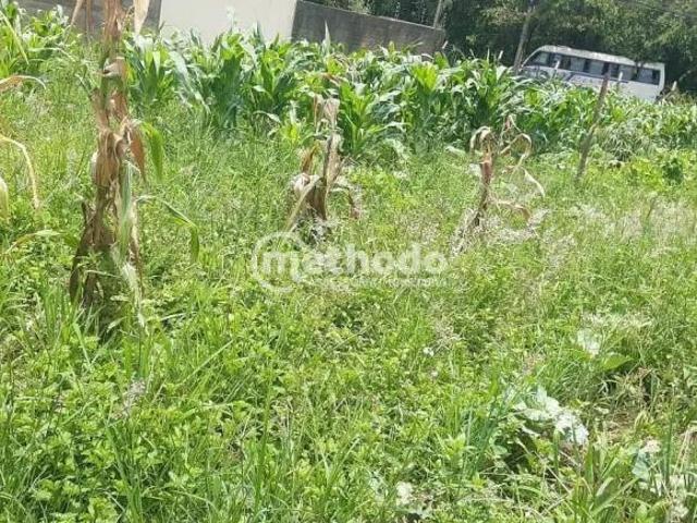 Terreno à venda, 1000 m² por R$ 1.500.000,00 Chácara Primavera Campinas/SP