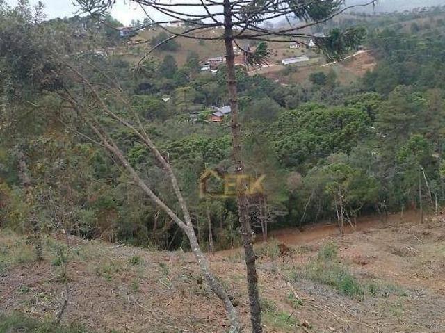 Terreno à venda, 1000 m² por R$ 265.000,00 Alto da Boa Vista Campos do Jordão/SP