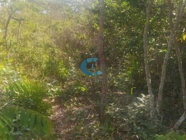 Terreno à venda, 1000 m² por R$ 220.000,00 Condomínio Estância da Mata Jaboticatubas/MG