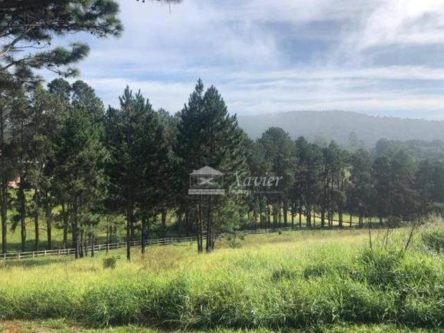 Terreno à venda, 1000 m² por R$ 230.000,00 Canguera São Roque/SP