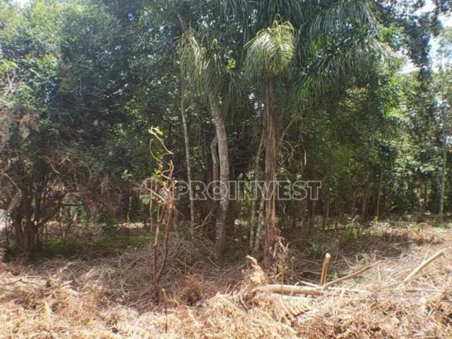 Terreno à venda, 1000 m² por R$ 350.000,00 Chácara Rincão Cotia/SP
