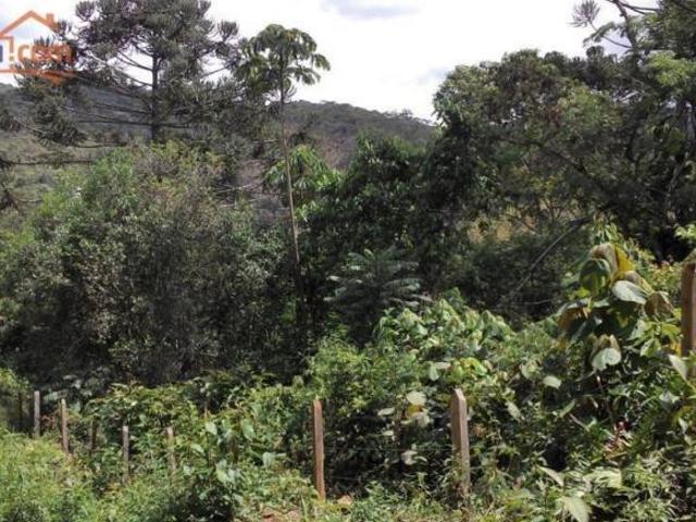 Terreno à venda, 1000 m² por R$ 350.000 Centro Santo Antônio do Pinhal/SP