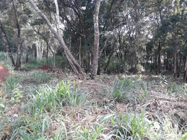Terreno à venda, 1000 m² por R$ 364.000,00 Lagoa Mansões Lagoa Santa/MG