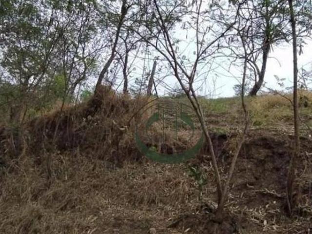 Terreno à venda, 1000 m² por R$ 320.000,00 Chácara Santa Margarida Campinas/SP