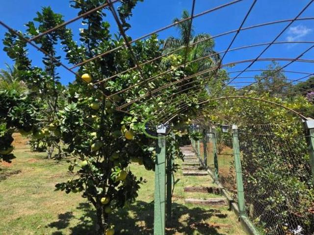 Terreno à venda, 1000 m² por R$ 750.000,00 Rio Comprido Jacareí/SP