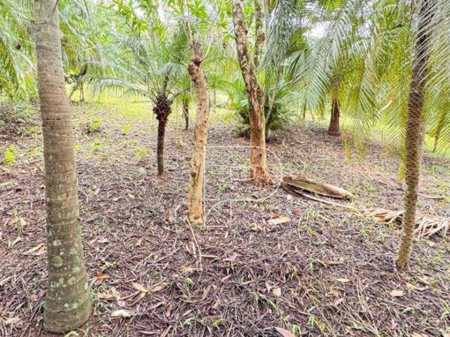 Terreno à venda, 1000 m² por R$ 850.000,00 Granja Viana Cotia/SP