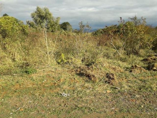 Terreno à venda 1000M², Parque das Garças, Guaratinguetá SP