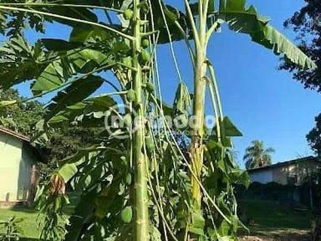 Terreno à venda, 1001 m² por R$ 299.999,00 Área Rural de Santo Antônio de Posse Santo Antônio de