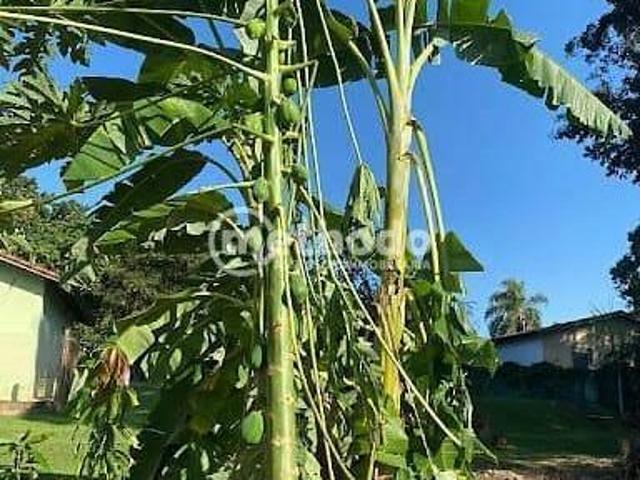 Terreno à venda, 1001 m² por R$ 299.999,00 Área Rural de Santo Antônio de Posse Santo Antônio de