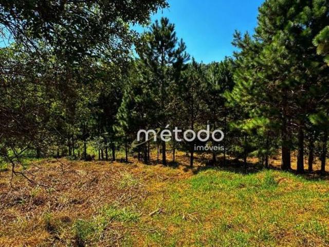 Terreno à venda, 10068 m² por R$ 295.000,00 Ponte Alta Guararema/SP
