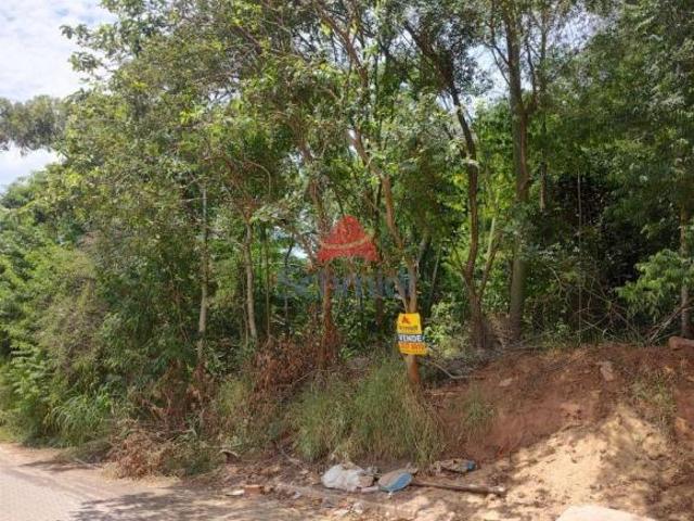 Terreno à venda, 1035 m² por R$ 371.000,00 Loteamento Parque Recreio São Leopoldo/RS