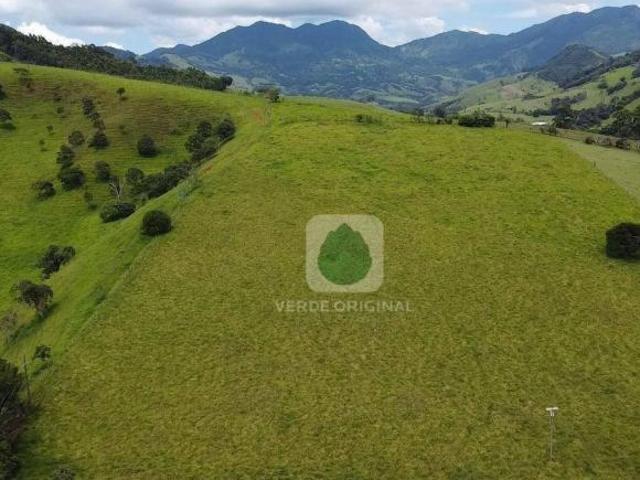 Terreno à venda, 10 hectares por R$ 4.000.000 Rodovia São Bento do Sapucaí/SP