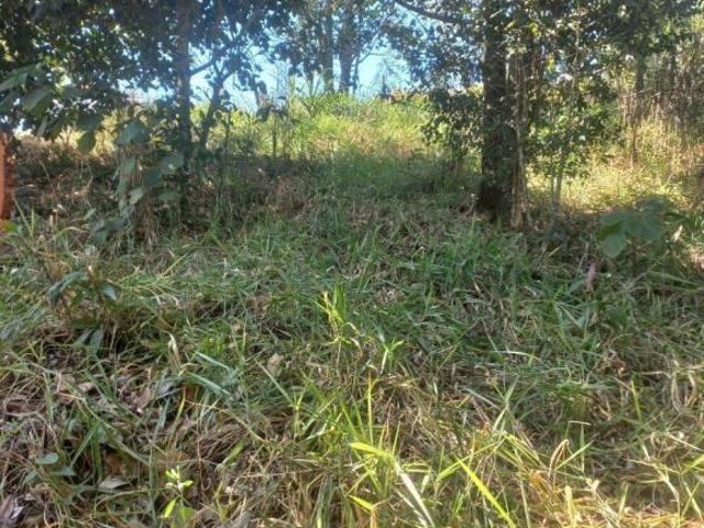 Terreno à venda!