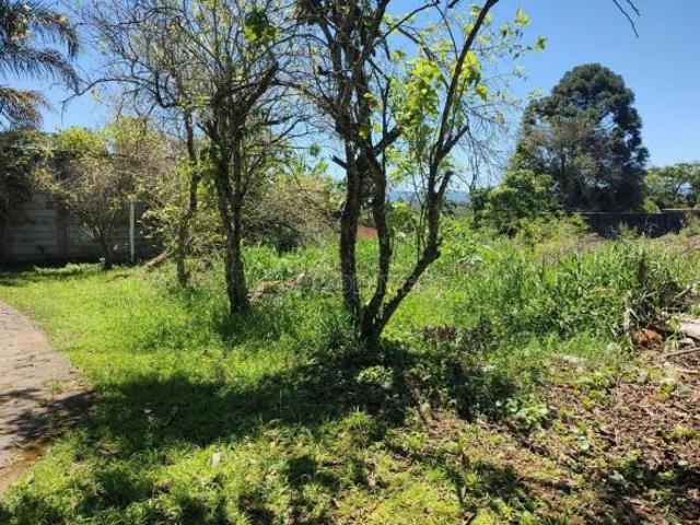 Terreno à venda, 1162 m² por R$ 450.000,00 Jardim San Ressore Caucaia do Alto Cotia/SP